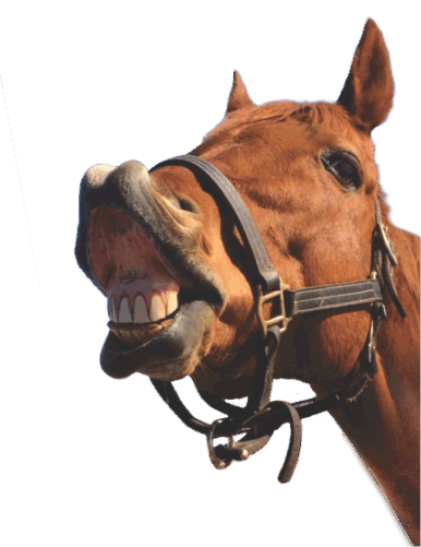 perd – George Landbouskou